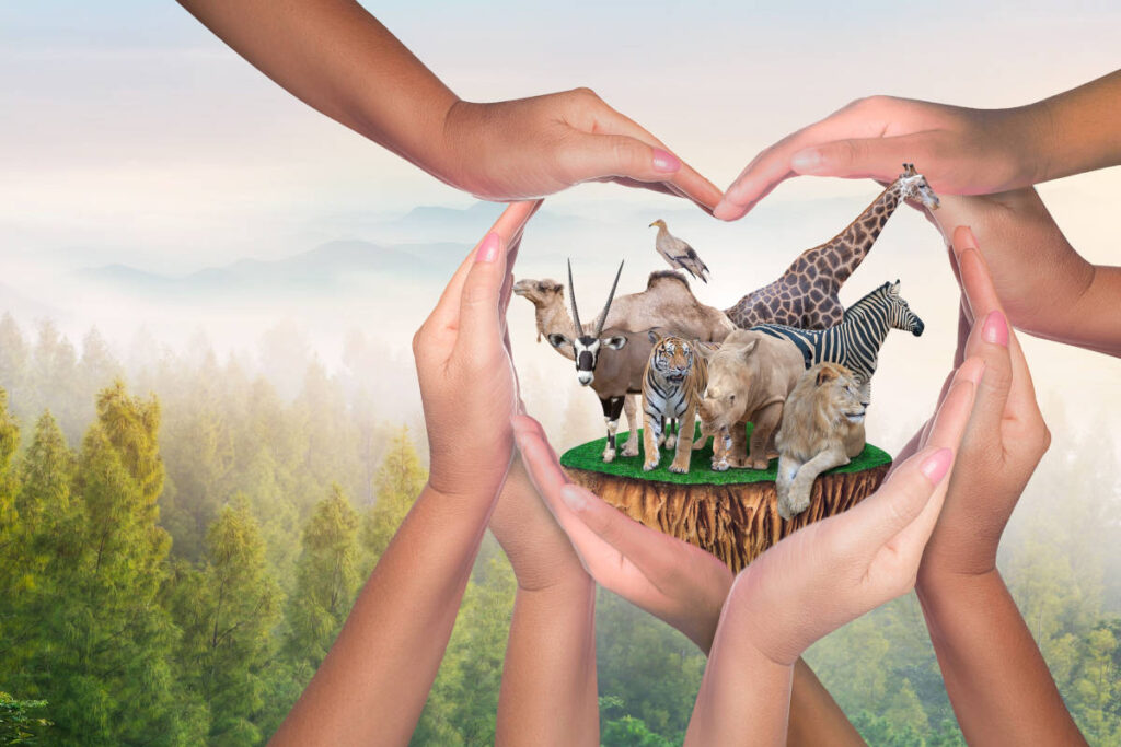 Biodiversità e agricoltura sostenibile: un binomio possibile | Ecoblog